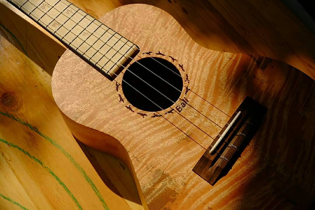 7 Rekomendasi Gitar Lokal Terbaik 2021