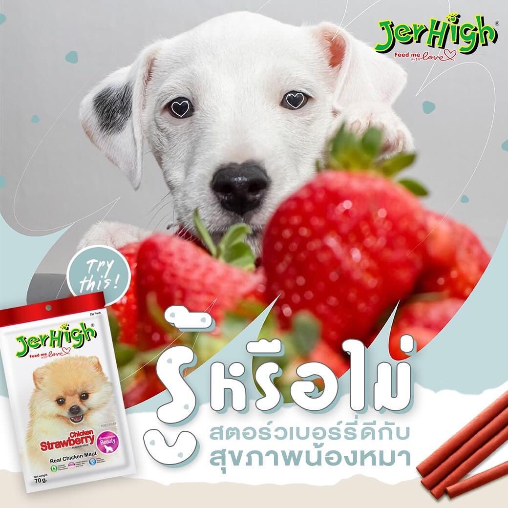 7 Rekomendasi Snack Anjing Terbaik 2021